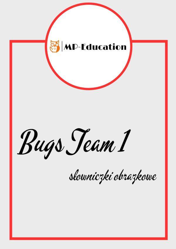 Bugs Team | MP-Education
