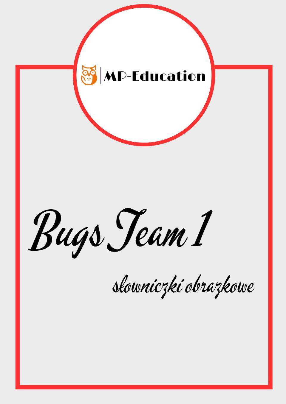 Bugs Team | MP-Education